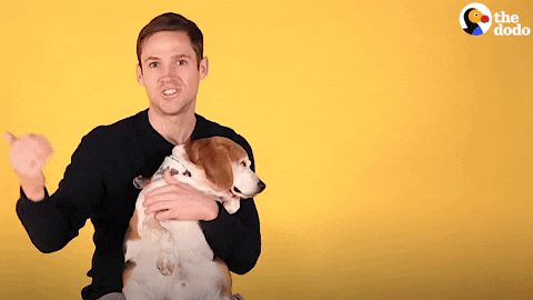 Cute GIF by The Dodo - Find & Share on GIPHY