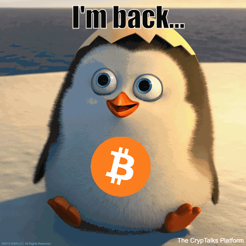 Crypto Bitcoin GIF by CrypTalks - Find & Share on GIPHY