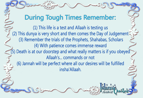 Used-2 GIFs - Get the best GIF on GIPHY