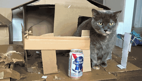 Crack Open A Cold One With The Boys GIFs - Get the best GIF on GIPHY