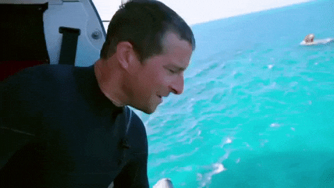 Man Vs Wild GIFs - Get the best GIF on GIPHY