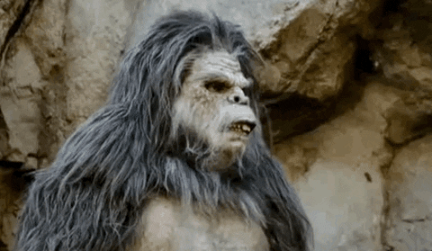 Yeti Man GIFs - Get the best GIF on GIPHY