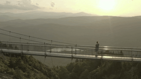 Overview GIFs on GIPHY - Be Animated