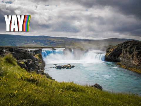 Niska Elster GIFs - Get the best GIF on GIPHY