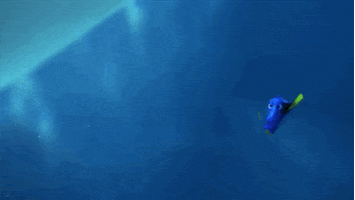 Dory GIFs - Find & Share on GIPHY