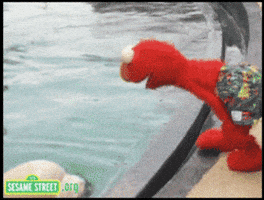 Elmo Shrug GIFs - Find & Share on GIPHY