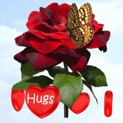 Hugs GIF - Find & Share on GIPHY