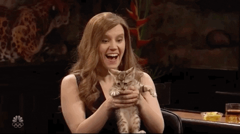 Cat Snl GIF by Saturday Night Live - Find & Share on GIPHY