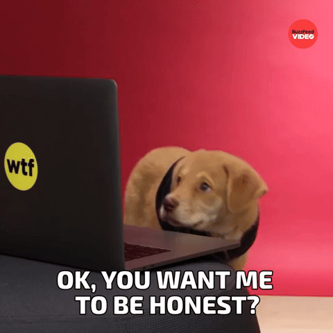 Wasted Gif Dog