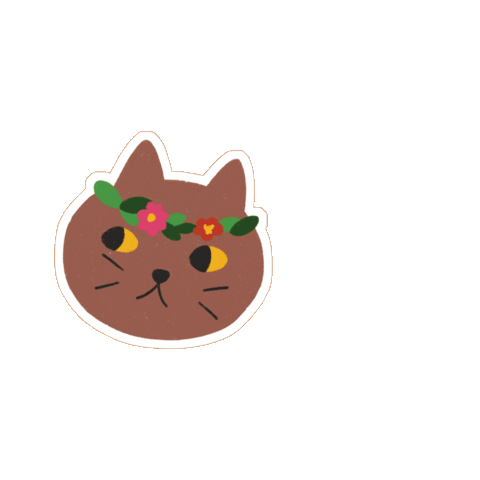 Cat Ok Sticker for iOS & Android | GIPHY