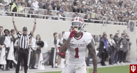 Iu Hush GIF by Indiana Hoosiers - Find & Share on GIPHY