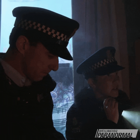 Roger Copy That GIF by Wellington Paranormal - Find & Share on GIPHY