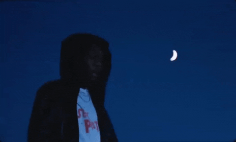 NO STYLIST GIFs on GIPHY - Be Animated