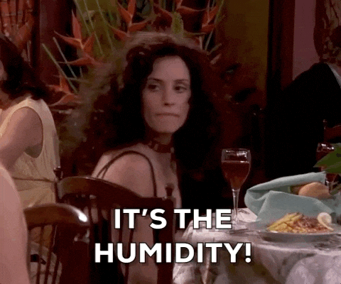 Humid Weather Hair Meme