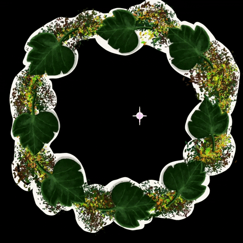 Wreath GIF - Find & Share on GIPHY
