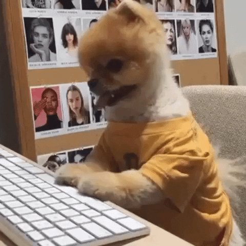 Dog Typing On Keyboard