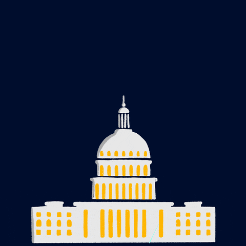 Vote Blue Democrat GIFs - Get the best GIF on GIPHY