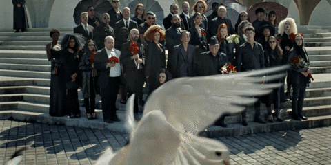 Glove Dove GIFs - Get the best GIF on GIPHY