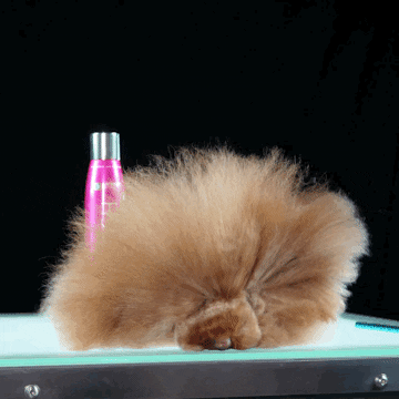 Pelo Suelto GIFs - Get the best GIF on GIPHY