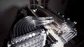 Sorting GIFs - Find & Share on GIPHY