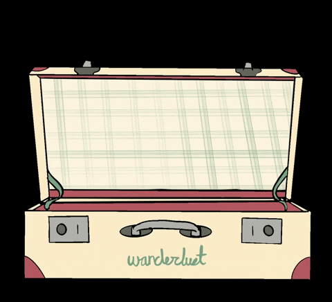 Away Suitcase GIFs - Get the best GIF on GIPHY