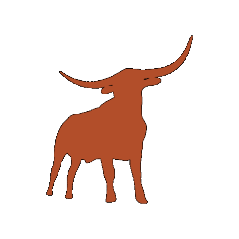 Texas Longhorns GIFs on GIPHY - Be Animated