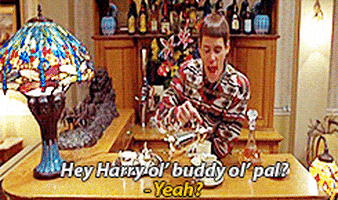 Dumb And Dumber Fight GIFs - Get the best GIF on GIPHY