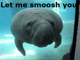 But Like Ill Make The Exception GIFs - Get the best GIF on GIPHY