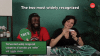 Reefer GIFs - Get the best GIF on GIPHY