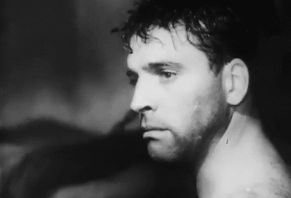 Hazel Graze Lancaster GIFs - Get the best GIF on GIPHY