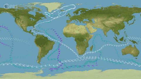 Conveyors GIFs - Get the best GIF on GIPHY