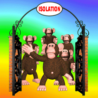 Segregate GIFs - Get the best GIF on GIPHY