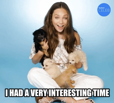 Very-good-question GIFs - Get the best GIF on GIPHY