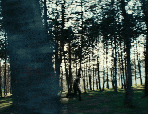 glaive GIFs on GIPHY - Be Animated