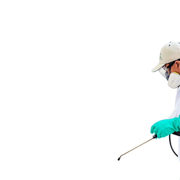 copla group GIFs on GIPHY - Be Animated