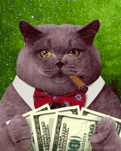 British Money GIFs - Get the best GIF on GIPHY