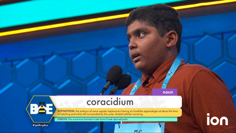Spelling Bee Sigh GIF by Scripps National Spelling Bee - Find & Share ...