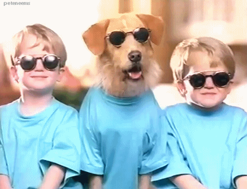 New trending GIF tagged 90s dogs nostalgic 90s… | Trending Gifs