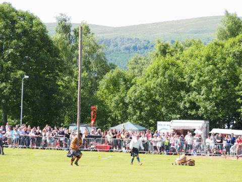 Caber Toss GIFs - Get the best GIF on GIPHY