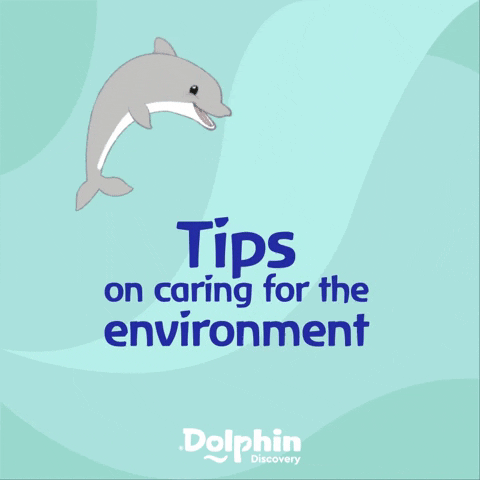 Tap-for-tips GIFs - Get the best GIF on GIPHY