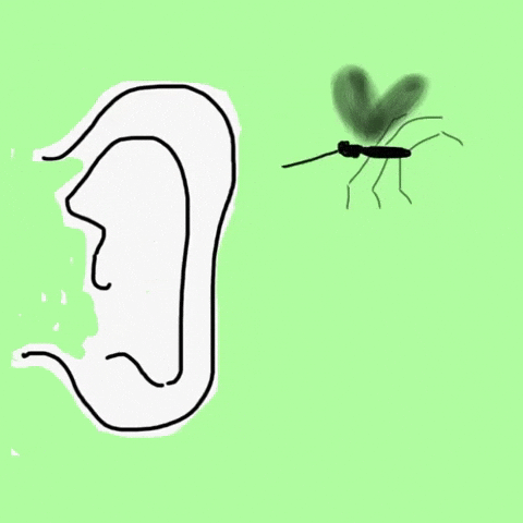 Mosquito Annoy Me GIF by Barbara Pozzi - Find & Share on GIPHY
