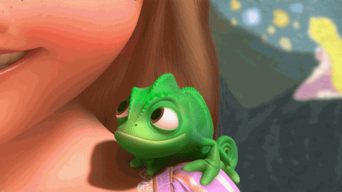 Pascal Tangled Calm Down