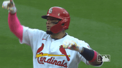 Major League Baseball Sport GIF by MLB - Find & Share on GIPHY