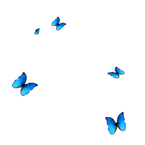 Transparent Butterfly Gif
