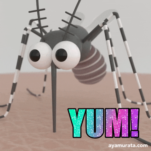 Insect-illustration GIFs - Get the best GIF on GIPHY