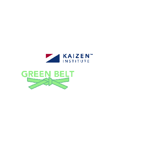 Kaizen Institute México Sticker for iOS & Android | GIPHY
