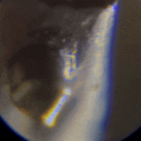 What kind of stylus is this? | Audio Science Review (ASR) Forum