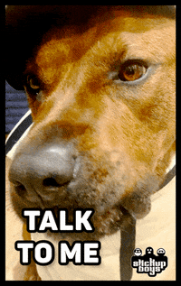 Skeptical Dog Gif
