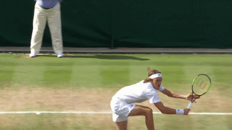 Tennis Dive GIF by Wimbledon - Find & Share on GIPHY