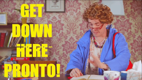 Meet Your Teacher GIFs - Get the best GIF on GIPHY